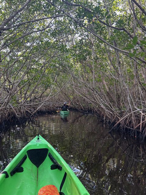 Marco Island: Mangrove Maze Kayak Tour (2hrs) - Exploring the Tour in Detail