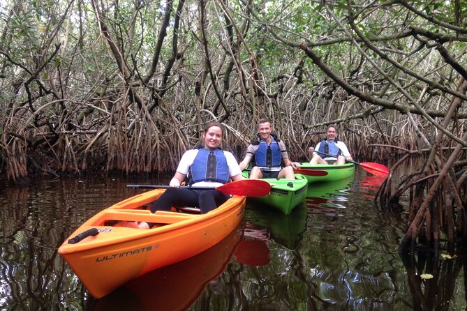 Marco Island Mangrove Tunnel and Maze Adventure Small group size - Discover the Marco Island Mangrove Tunnel and Maze Adventure