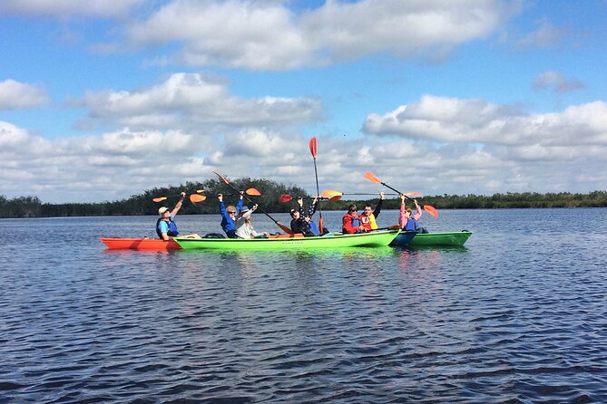 Marco Island Mangrove Tunnel and Maze Adventure Small group size - A Close Look at the Experience