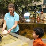 Marco Island Mangrove Tunnel and Maze Adventure Small group size - Who Will Love This Tour?