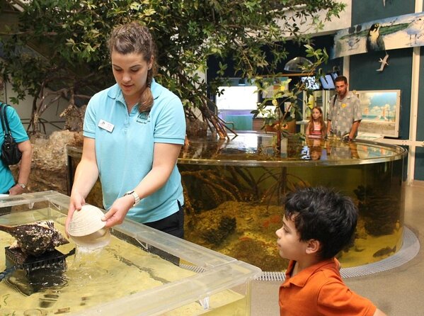 Marco Island Mangrove Tunnel and Maze Adventure Small group size - Who Will Love This Tour?