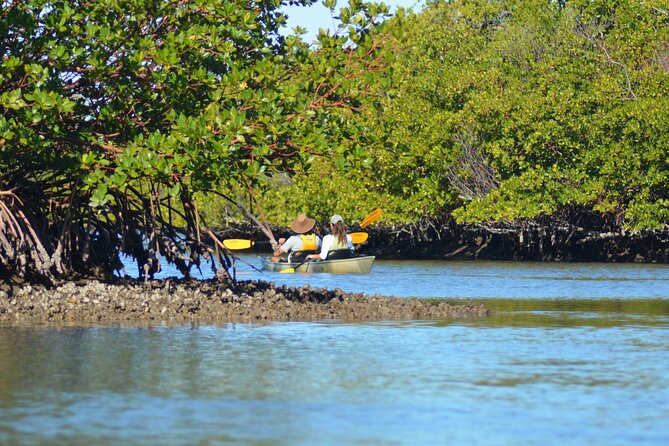 Marco Island Mangrove Tunnel and Maze Adventure Small group size - Final Thought: Is It Worth It?