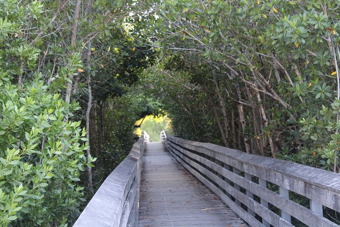 Marco Island Photography Experience - An In-Depth Look at the Marco Island Photography Tour
