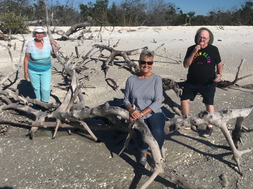 Marco Island: Ten Thousand Islands Shelling & Dolphin Tour - An In-Depth Look at the Tour Experience
