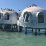 Marco Island: Ten Thousand Islands Shelling & Dolphin Tour - What’s Included and What To Bring