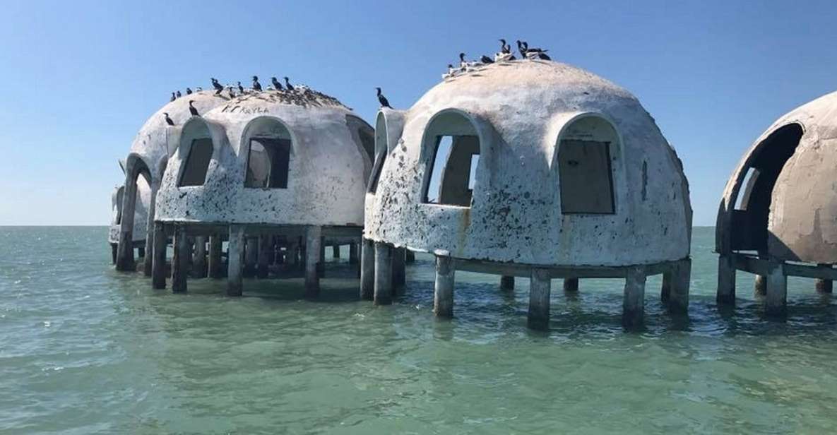 Marco Island: Ten Thousand Islands Shelling & Dolphin Tour - What’s Included and What To Bring
