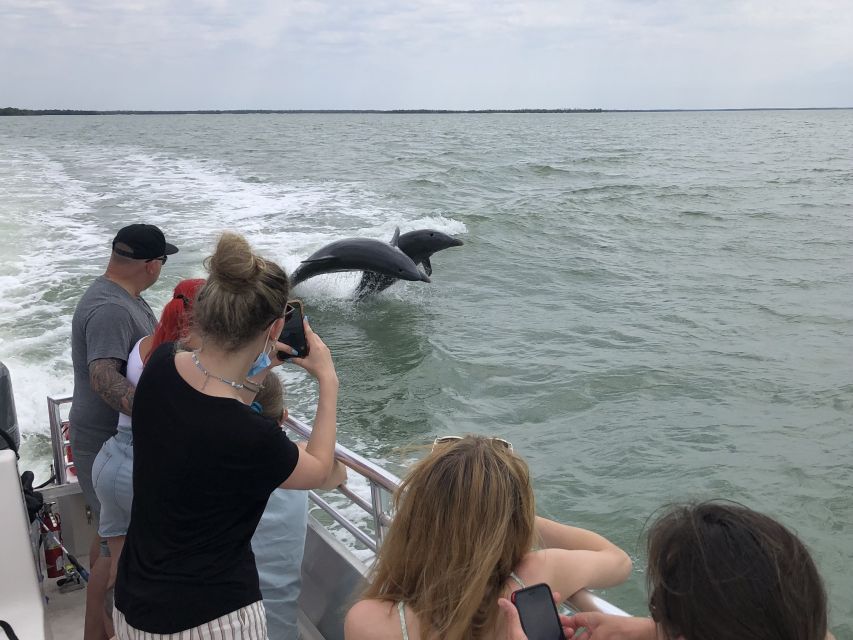 Marco Island: Ten Thousand Islands Shelling & Dolphin Tour - Authentic Feedback from Past Participants
