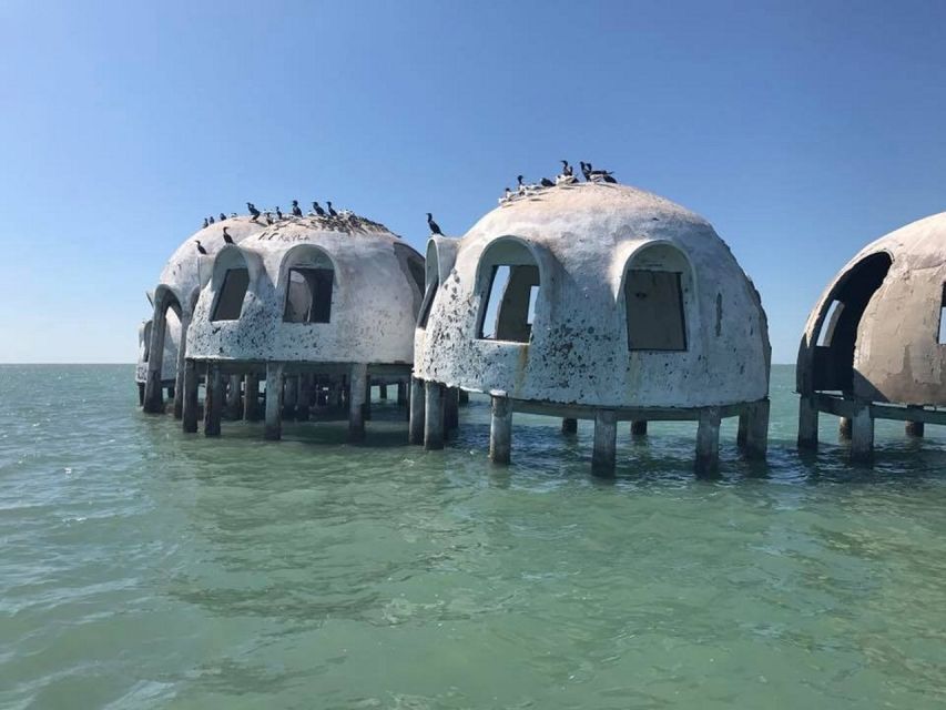 Marco Island: Ten Thousand Islands Shelling & Dolphin Tour - Final Thoughts: Who Is This Tour Best For?