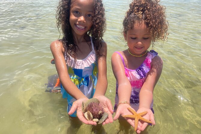Marco Island Wildlife Sightseeing and Shelling Tour - What to Expect on the Tour