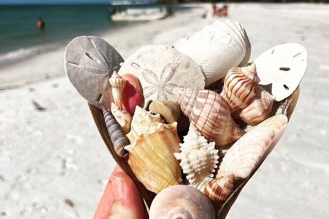 Marco Island Wildlife Sightseeing and Shelling Tour - FAQ