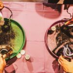 Mardi Gras Mambo Tours: Mambo Nights - The Cost and Value