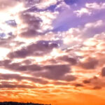 Marina Del Rey: A Romantic Boat Cruise with Sushi & Wine - Who Is This Cruise Best For?