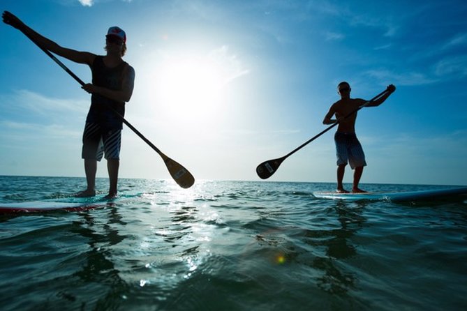 Marina del Rey Paddleboard Tour - The Experience and What to Expect