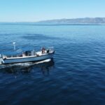 Marina Del Rey Party Boat 1 to 15 Passengers - Price and Value Analysis
