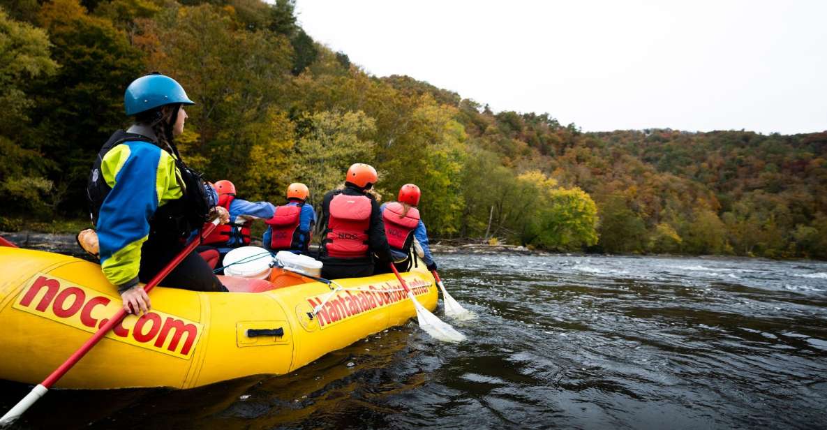 Marshall: French Broad Whitewater River Rafting Experience - The Experience Overview: A Balanced Mix of Adventure and Nature