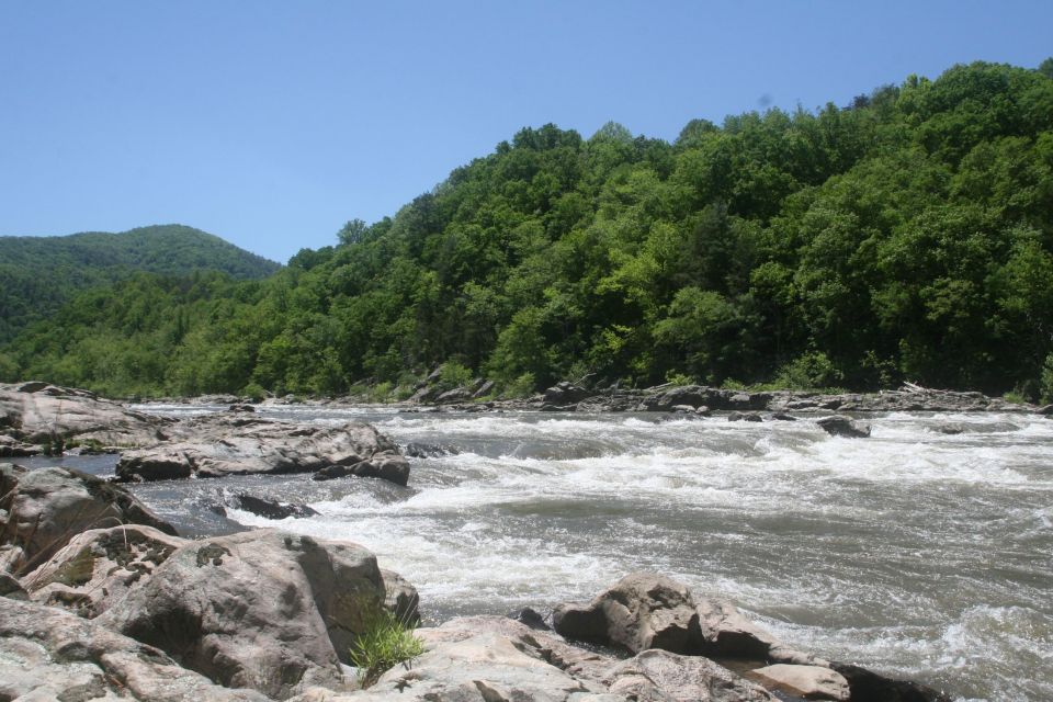 Marshall: French Broad Whitewater River Rafting Experience - What Makes This Tour Special?