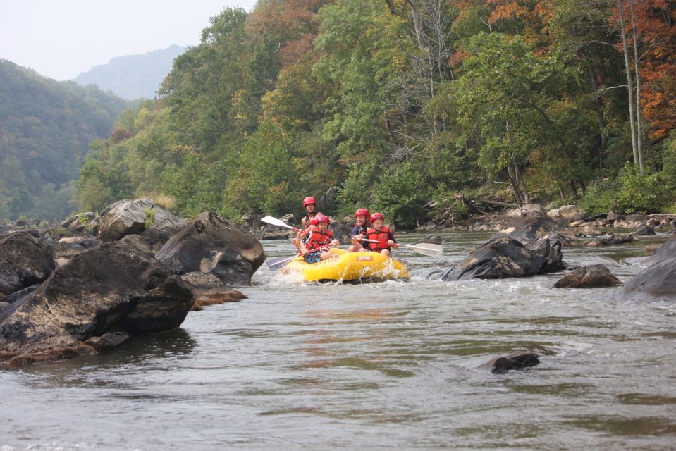 Marshall: French Broad Whitewater River Rafting Experience - In-Depth Breakdown: What the Tour Looks Like