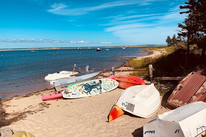 Marthas Vineyard Luxury Tour (2hrs) - Who Should Consider This Tour?