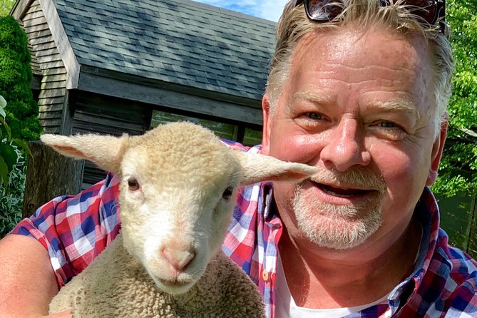 Martha's Vineyard Tours Private and Fun! - The Guide and the Experience