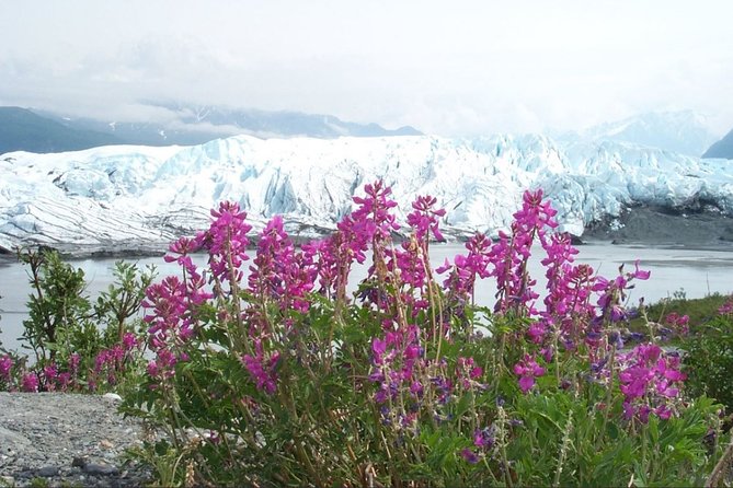 Matanuska Glacier Summer Tour - What Sets This Tour Apart