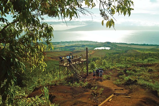 Maui 8 line Zipline Adventure: Soar above valleys & Island views - Introducing the Maui 8 Line Zipline Adventure
