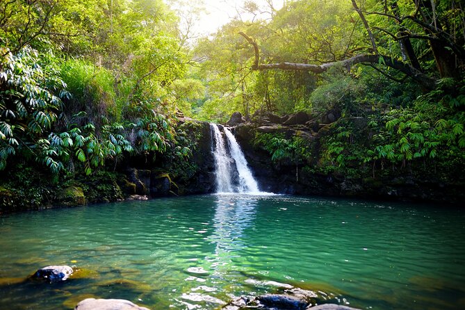 Maui Beach Parks Self-Guided Driving Tour - A Deep Dive into the Maui Beach Parks Self-Guided Driving Tour