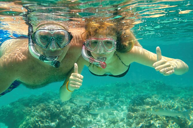 Maui Beach Shoreline Snorkel - Maui Beach Shoreline Snorkel Review: An Accessible Underwater Adventure