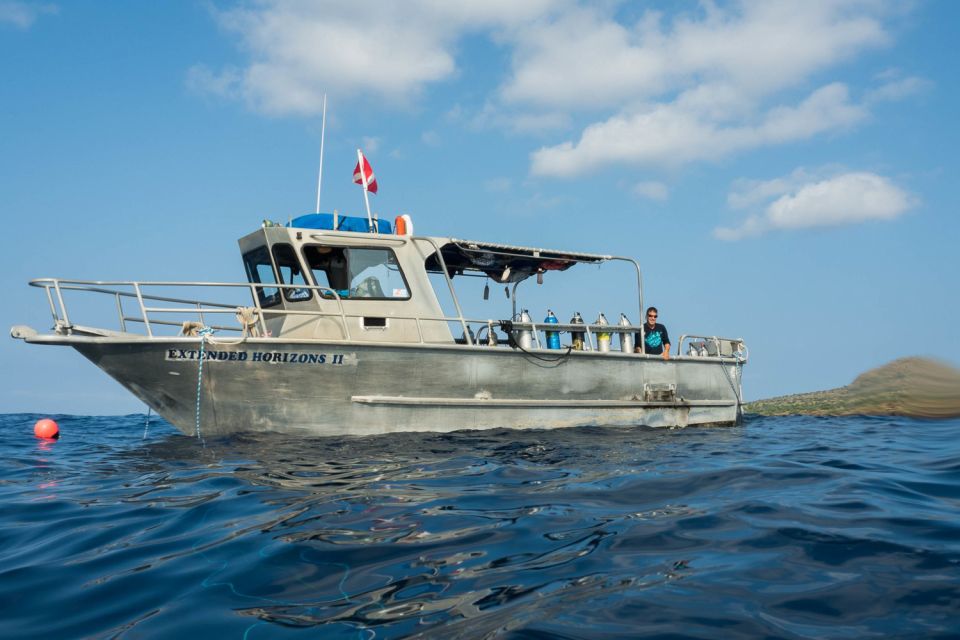 Maui: Beginner Discovery Scuba Dive Excursion from Lahaina - The Value of This Experience