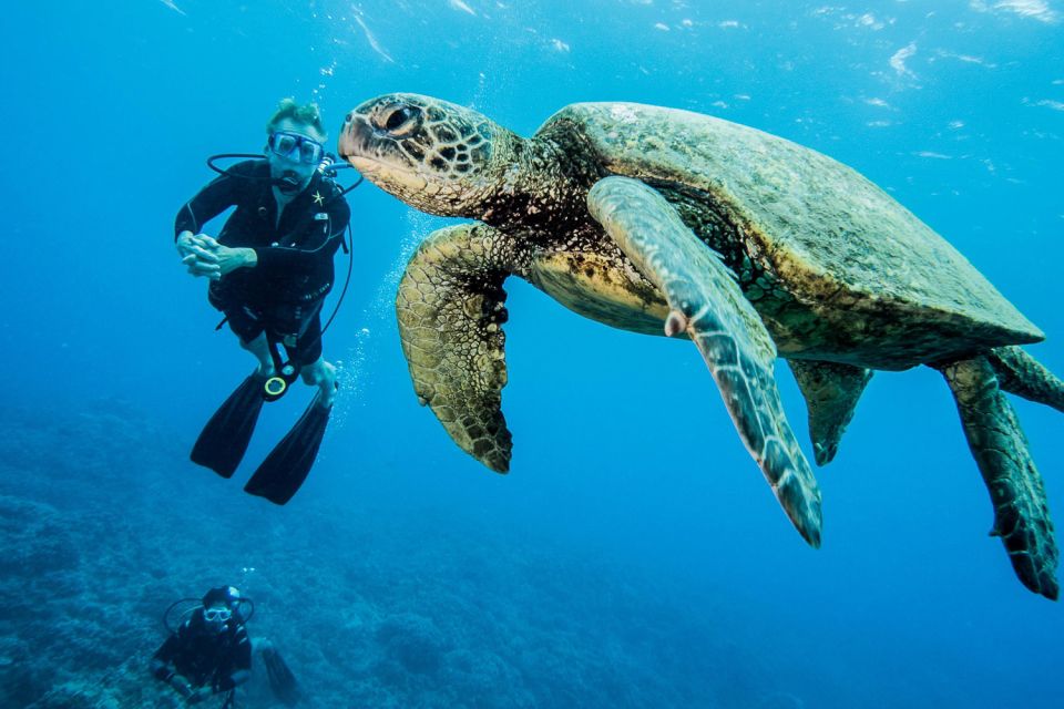 Maui: Beginner Discovery Scuba Dive Excursion from Lahaina - The Sum Up