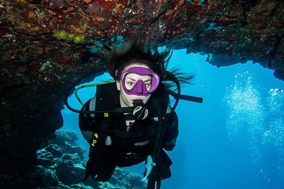 Maui: Beginner Discovery Scuba Dive Excursion from Lahaina - FAQ