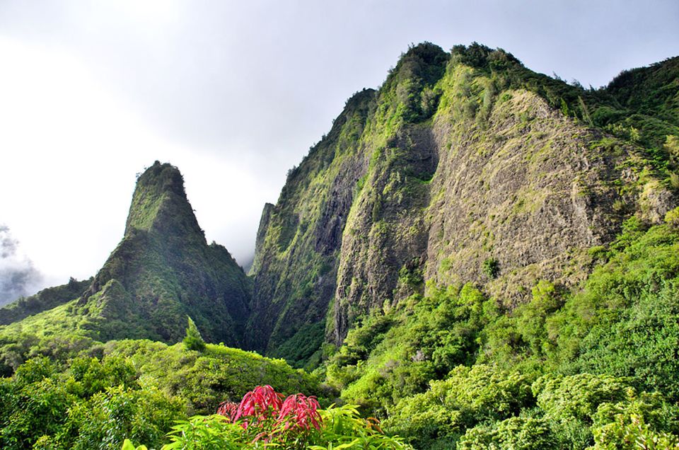 Maui: Best of Maui/Haleakala - Sips, Sites & Bites - Authentic Insights from Past Travelers