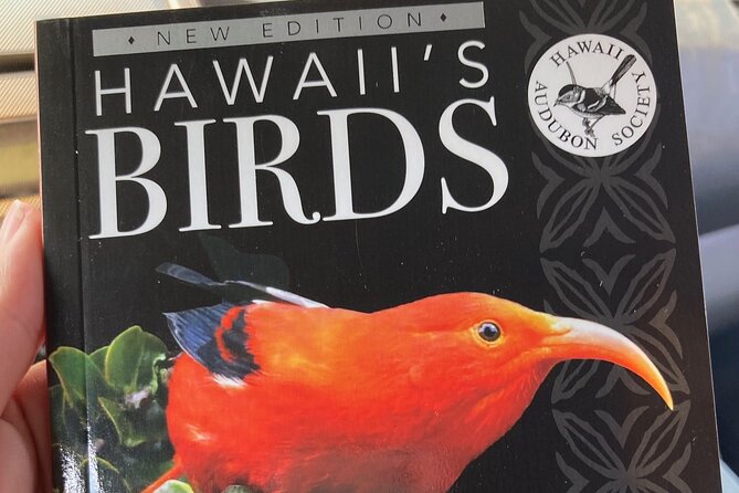Maui Birdwatching at Maui Bird House - Scenic Views and Photography