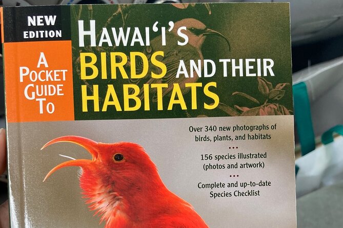 Maui Birdwatching at Maui Bird House - Who Will Love This Tour?