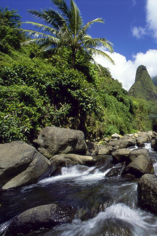 Maui: Custom Elite Tour with Escalade & Meals - An In-Depth Look at the Maui Custom Elite Tour