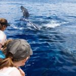 Maui: Eco-Friendly Whale Watching Tour from Ma'alaea Harbor - Who Will Love This Tour?