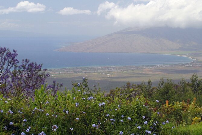 Maui Farm Distillery and local craft experience Full-Day Tour - Authentic Maui Moments—What Sets This Tour Apart