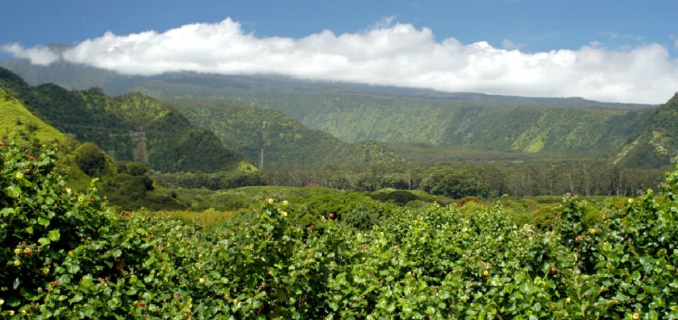 Maui: Full Day Hiking Tour with Lunch - An In-Depth Look at the Tour Itinerary