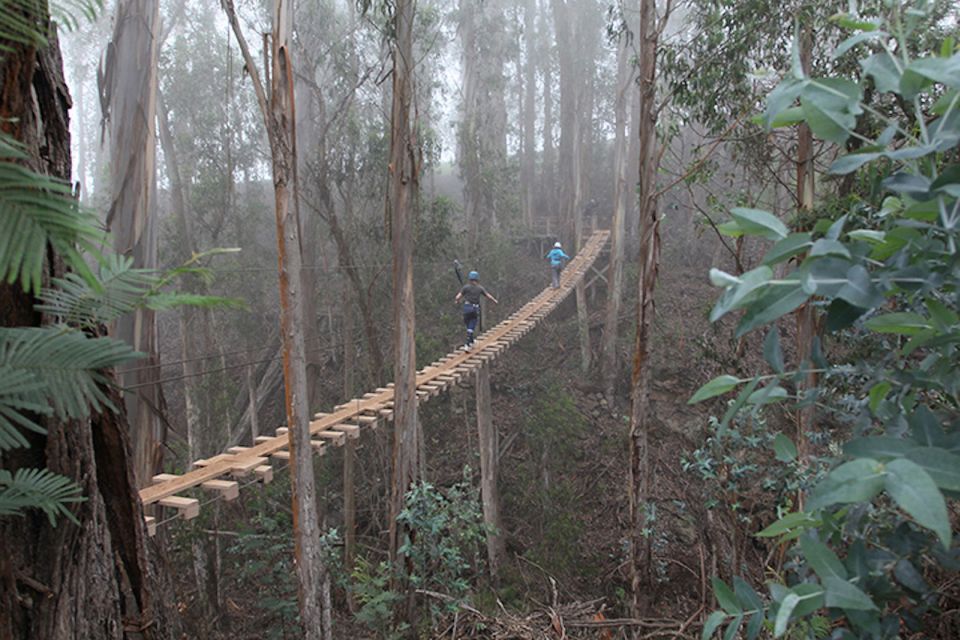 Maui: Haleakala 6-Line Zipline Adventure - Who Should Consider This Tour?