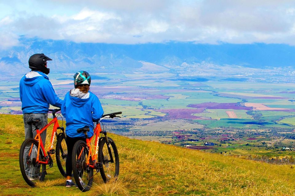 Maui: Haleakala Guided Bike Tour - Final Thoughts: Is This Tour for You?