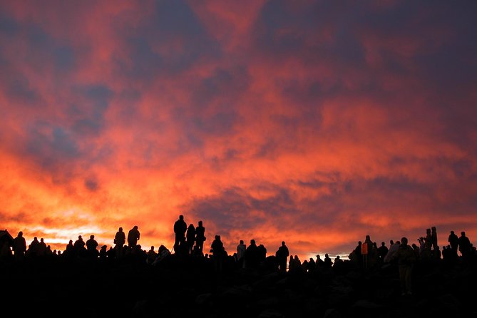 Maui Haleakala Sunrise Downhill Bike Tour with Mountain Riders Rated #1 - The Experience in Detail