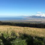 Maui Haleakala Sunrise Downhill Bike Tour with Mountain Riders Rated #1 - Why This Tour is Worth Considering