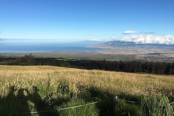 Maui Haleakala Sunrise Downhill Bike Tour with Mountain Riders Rated #1 - Why This Tour is Worth Considering