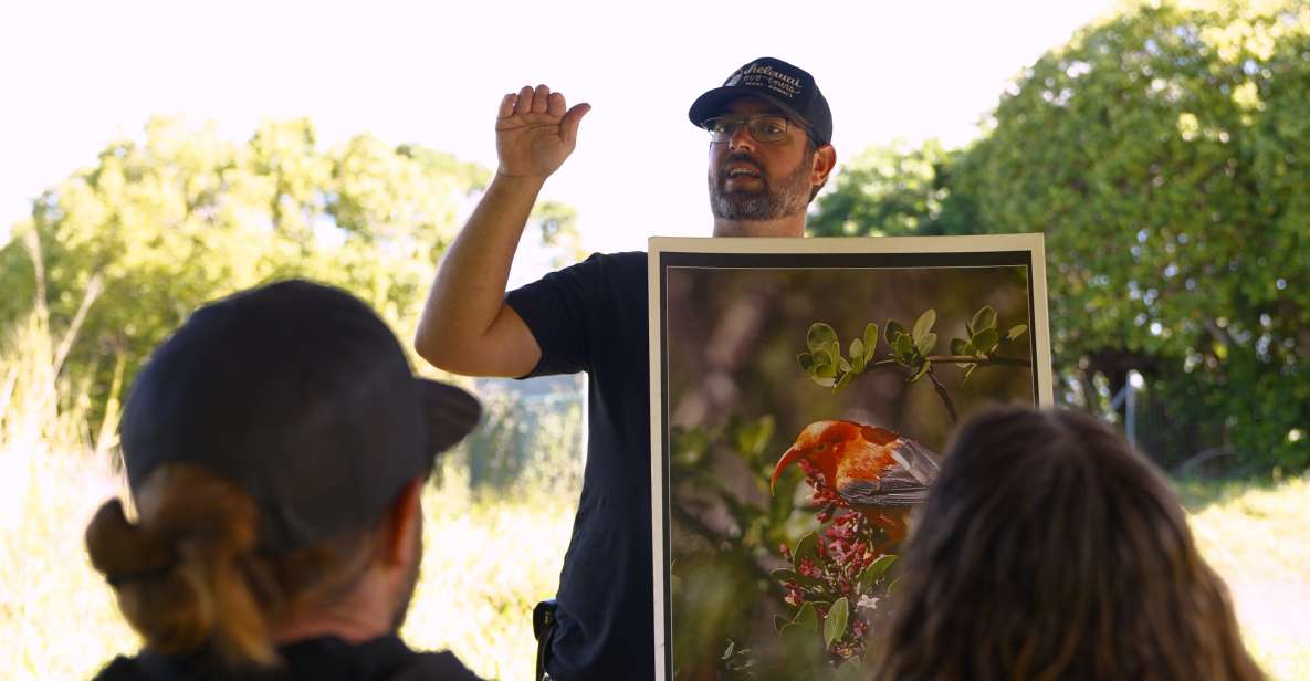 Maui: Honolua Ridgeline Informational Hike - Key Points