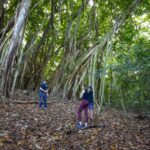 Maui: Honolua Ridgeline Informational Hike - The Practicalities: What You Need to Know