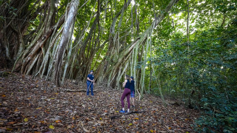 Maui: Honolua Ridgeline Informational Hike - The Practicalities: What You Need to Know