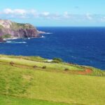 Maui Horseback Adventure at Circle M Ranch With Real Cowboys - Final Thoughts