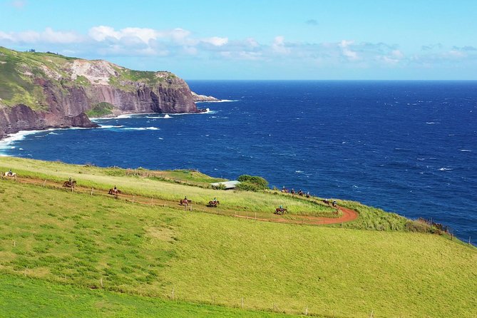 Maui Horseback Adventure at Circle M Ranch With Real Cowboys - Final Thoughts