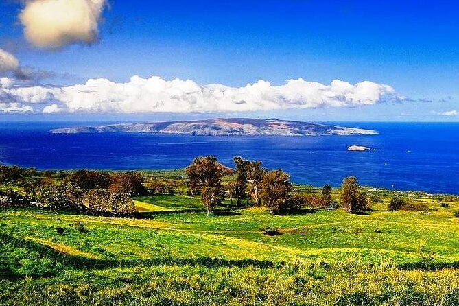 Maui Island Private Day Tour - Final Thoughts | Is It Worth It?