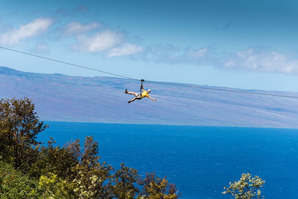 Maui: Ka'anapali 8 Line Zipline Adventure - A Close Look at the Tour Itself