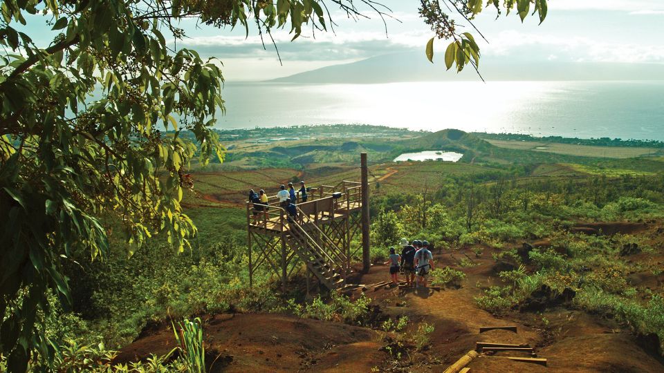 Maui: Ka'anapali 8 Line Zipline Adventure - The Tours’ Value & What It Means for Travelers